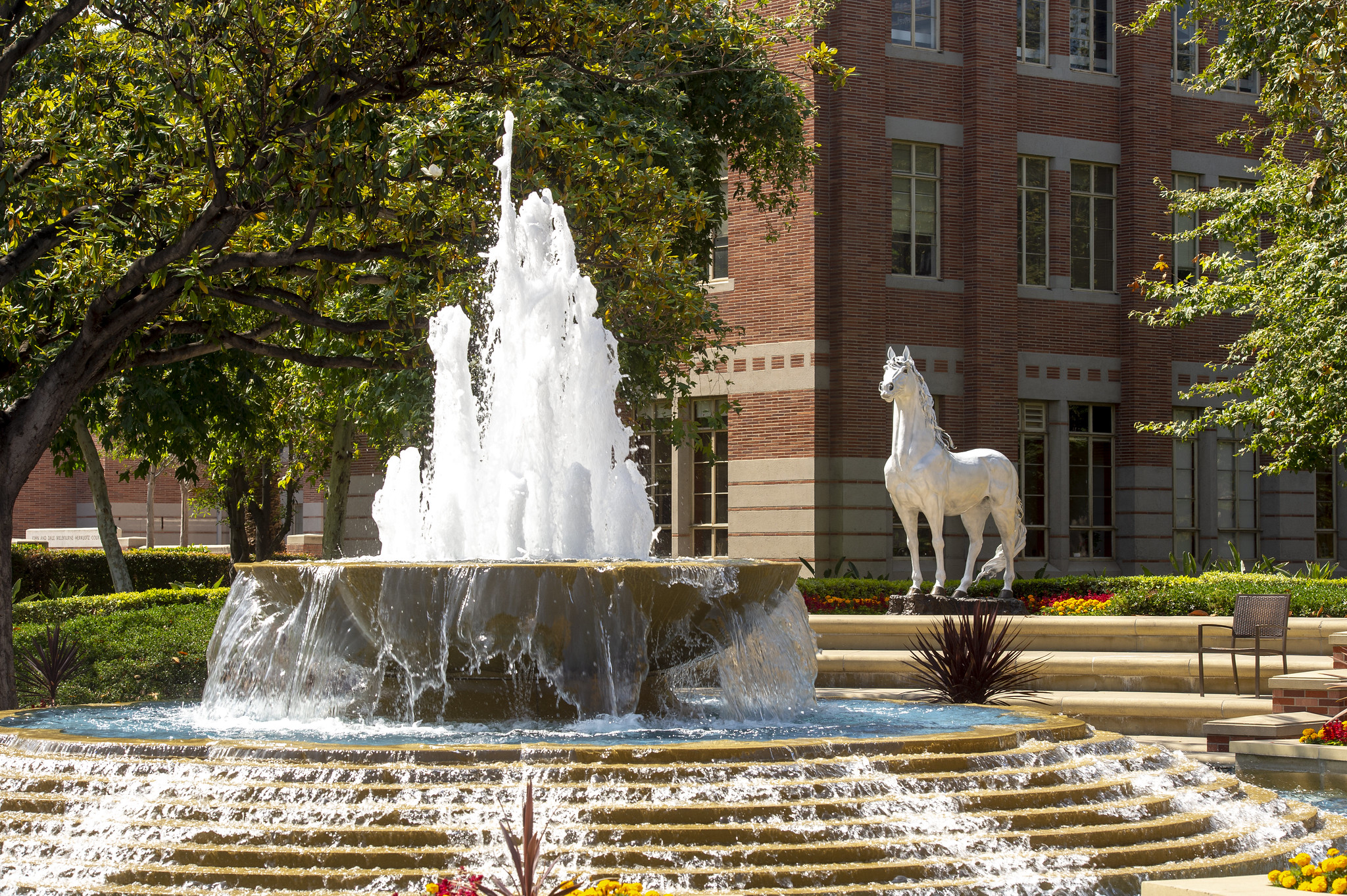 Advise USC Program – Website for updates on the Advise USC Program